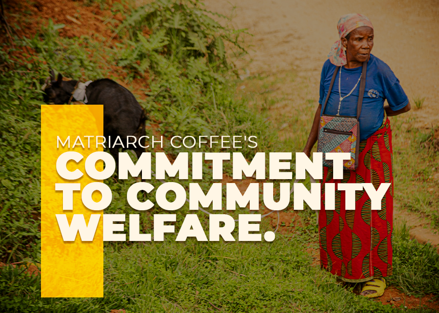 Matriarch Coffee's Commitment to Community Welfare – Matriarch Coffee