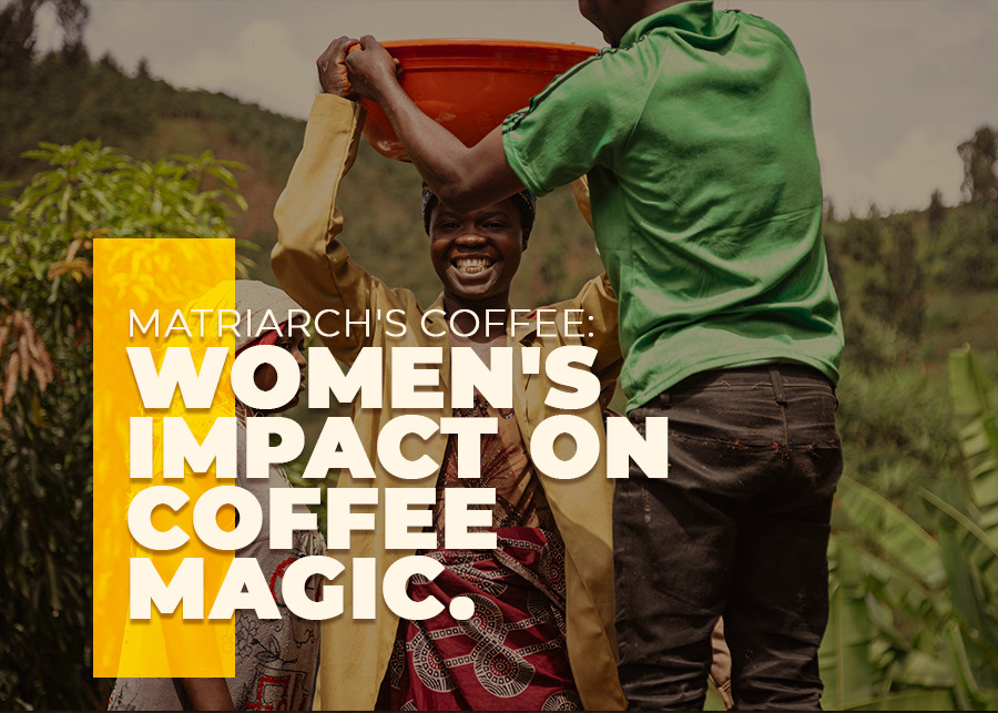 Women's Impact on Matriarch's Coffee Magic – Matriarch Coffee