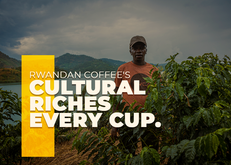 Rwandan Coffee's Cultural Riches Every Cup – Matriarch Coffee